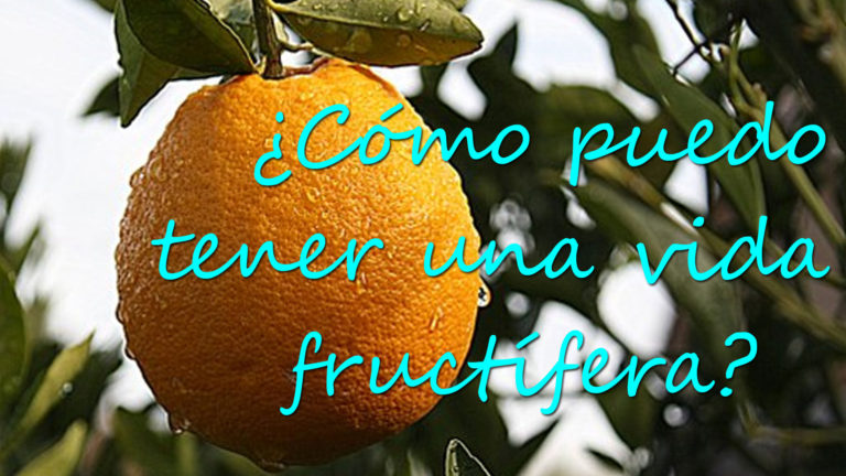 ¿Cómo puedo tener una vida fructífera? | buscadedios.org
