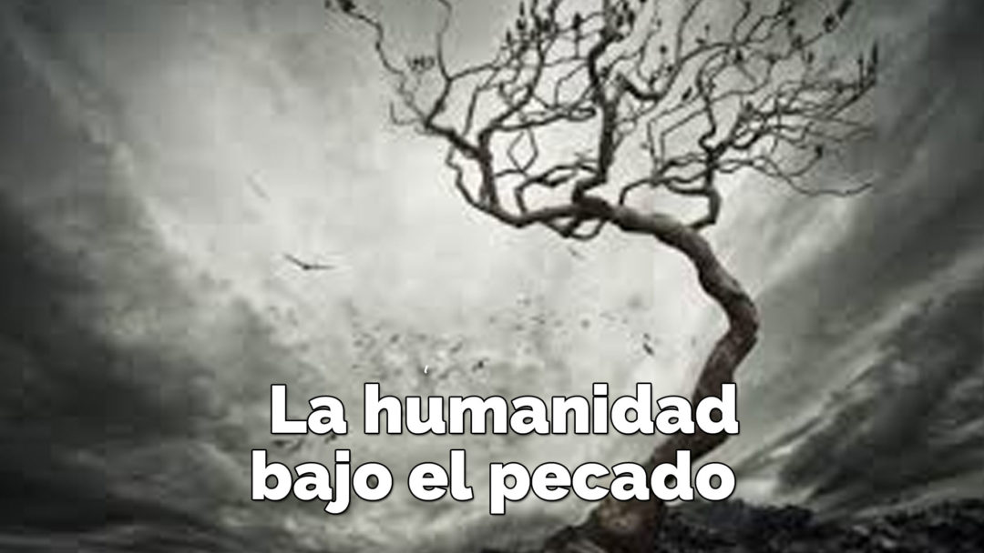 La humanidad bajo el pecado | Principios bíblicos para nuevos creyentes ...